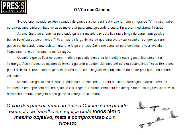 PRESS:S::..: O VÔO DOS GANSOS