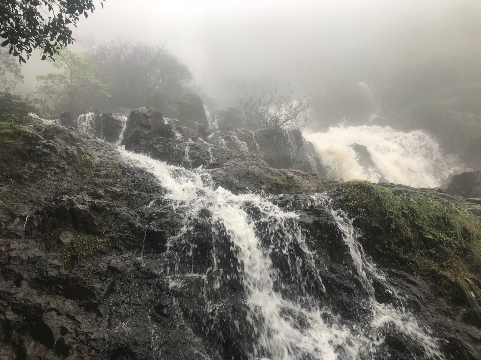 Forts of Sahyadri: A memorable trek to Madhe Ghat and Upandya Ghat