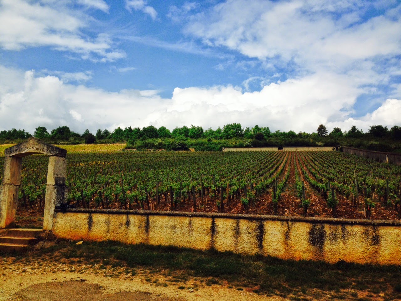Wine -- Mise en abyme: Visit to Domaine de La Romanée-Conti (DRC): The ...