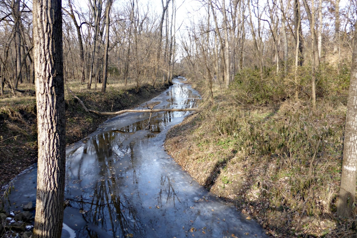 Another Side of this Life: 2020