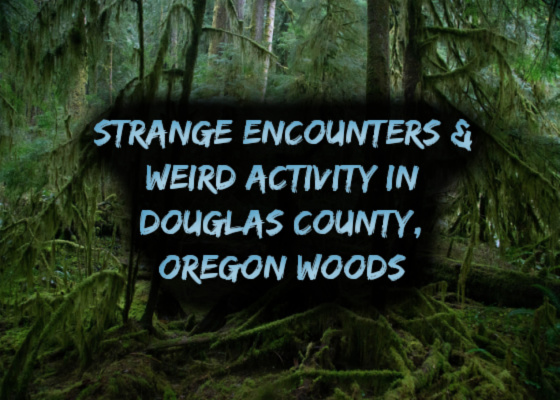 A resident of Roseburg, Oregon describes a bizarre encounter with a ...