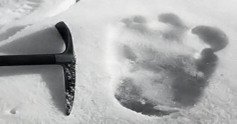 Yeti The Strange Creature In Himalaya • TheGep Mysteries