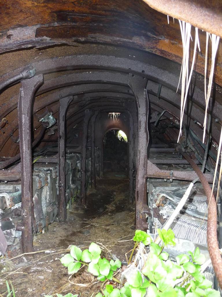 The Forgotten Battle: The Japanese Invasion of Alaska ~ Kuriositas