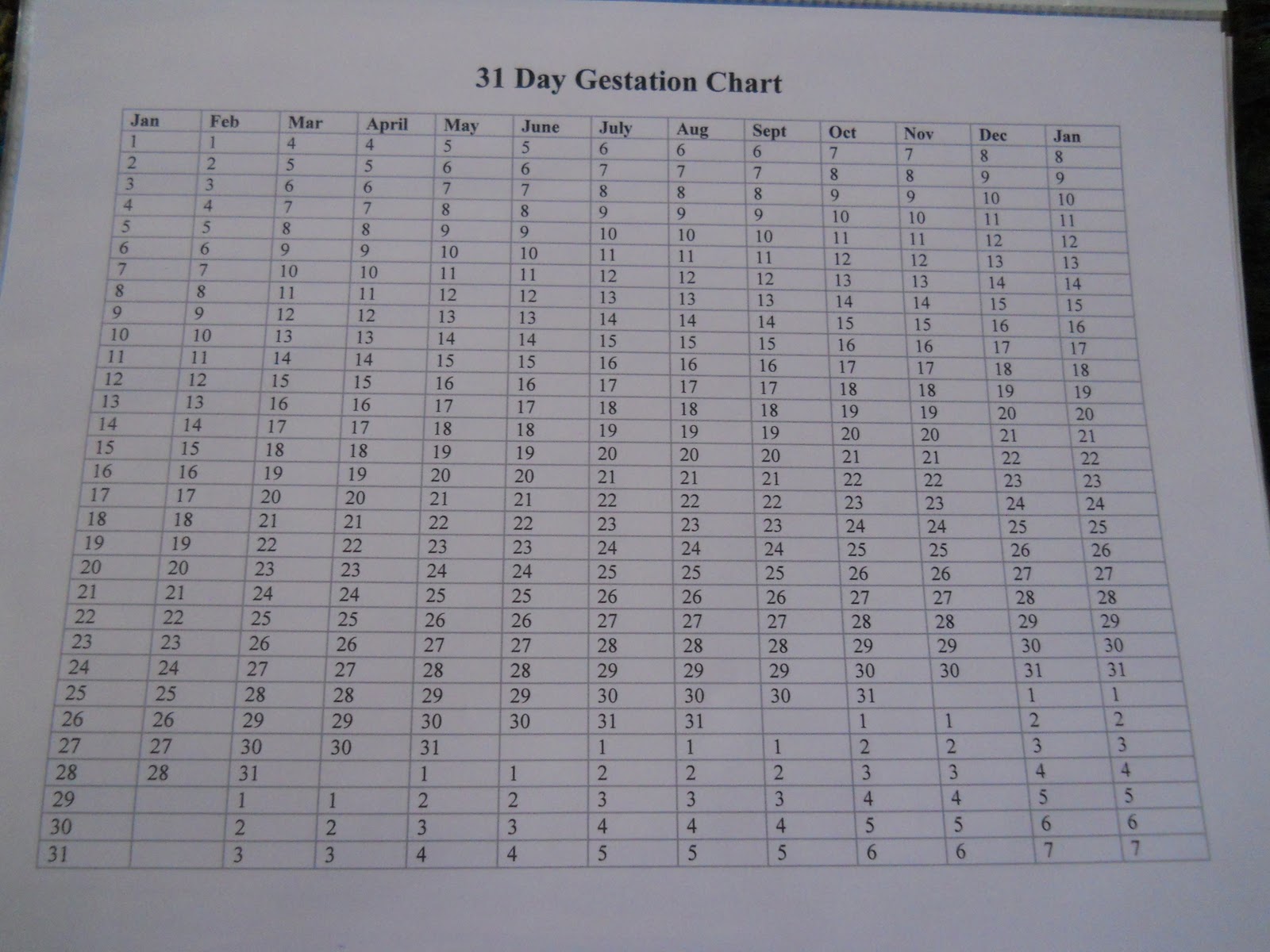 Little Rascal's Rabbitry: My Rabbitry Binder