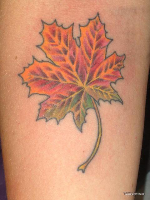 Celtic Maple Leaf Tattoo | Best Art Designs