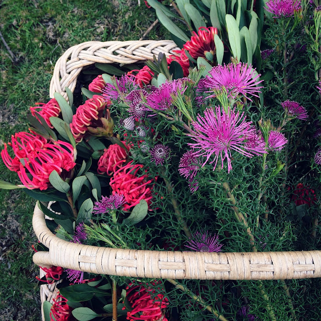 Swallows Nest Farm: November Flowers