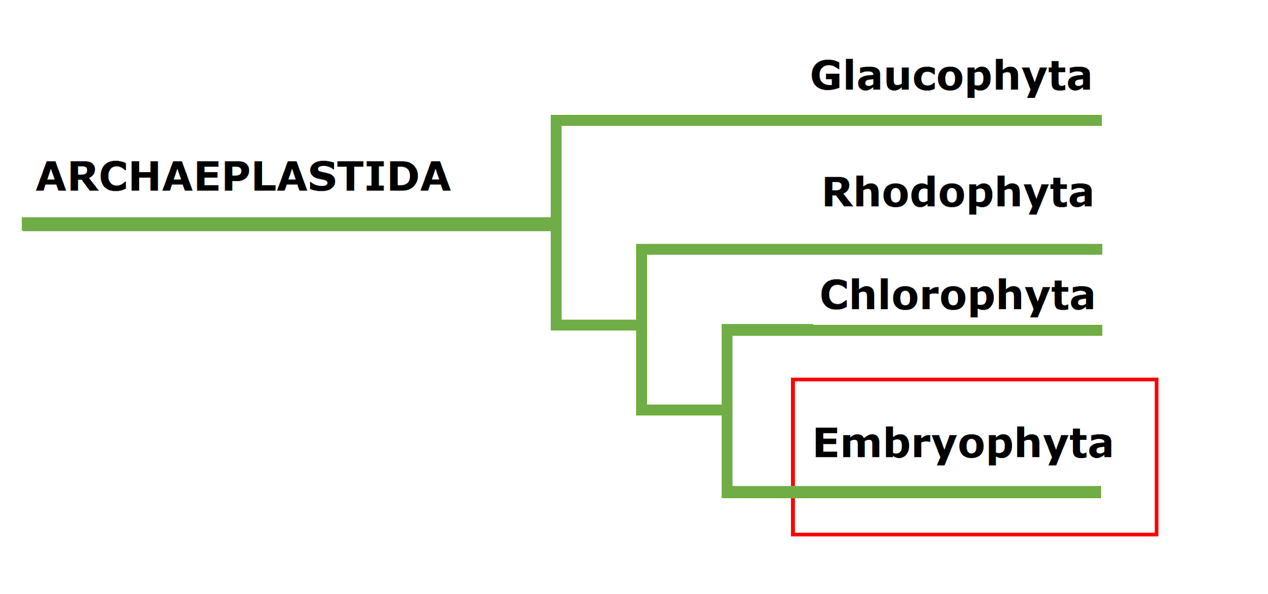 BIOLOGIA PARA A VIDA : abril 2021