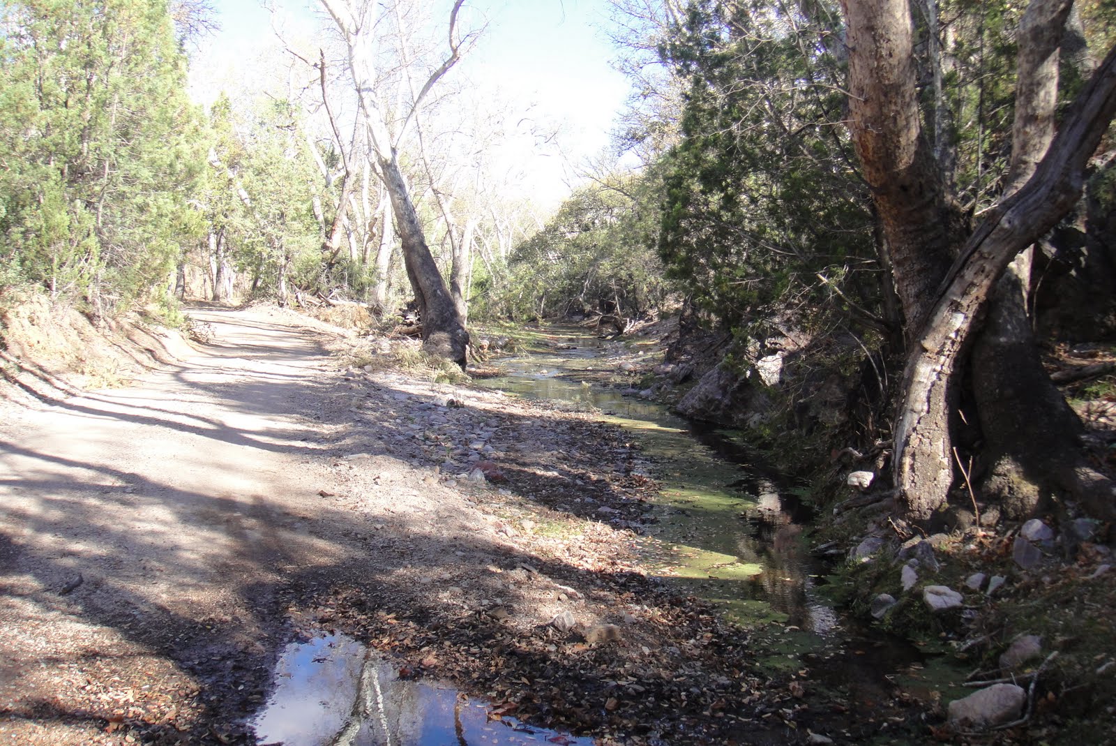 Colburn and Scott Outfitters: Goulds Turkey Hunts