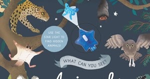 Kids' Book Review: Review: What Can You See? Animals in the Night