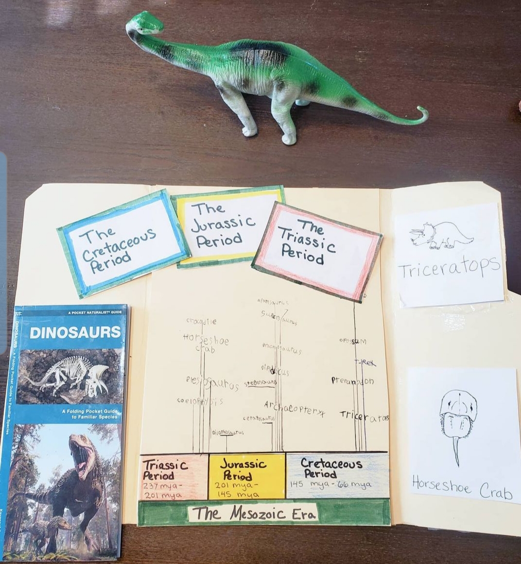 Learning About the Mesozoic Era- The Age of the Dinosaurs