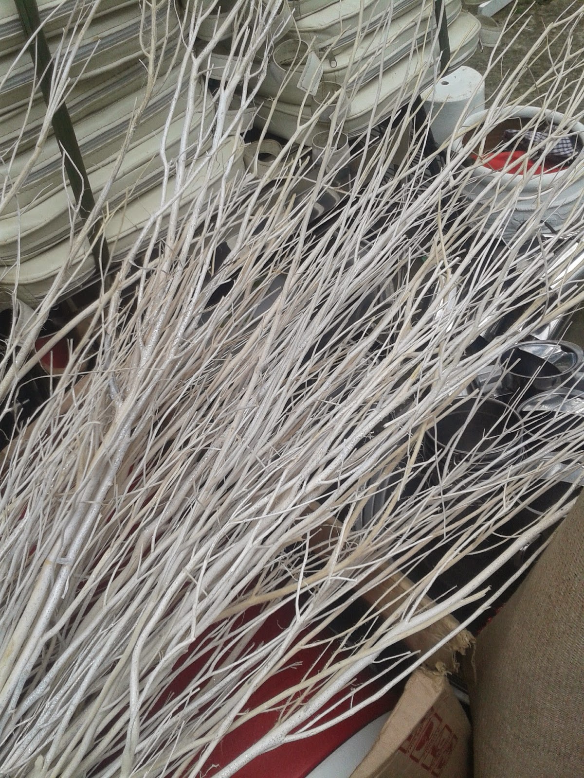 Debut Themes and Ideas