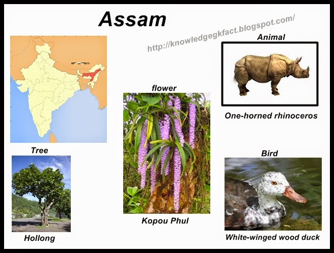 GENERAL KNOWLEDGE: INDIA - STATE SYMBOLS OF ASSAM