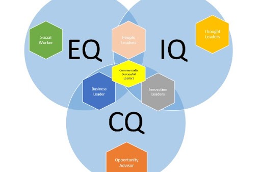 Apa itu kecerdasan IQ, EQ, SQ, CQ DAN AQ