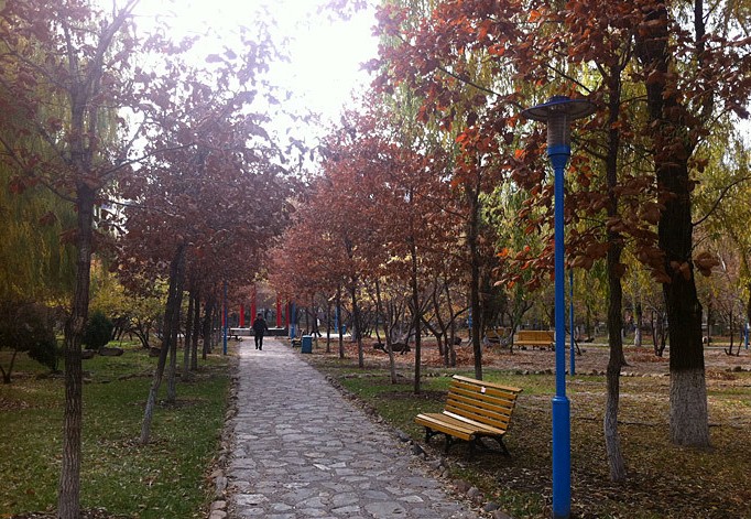 Laochi in Beijing: Autumn in Harbin