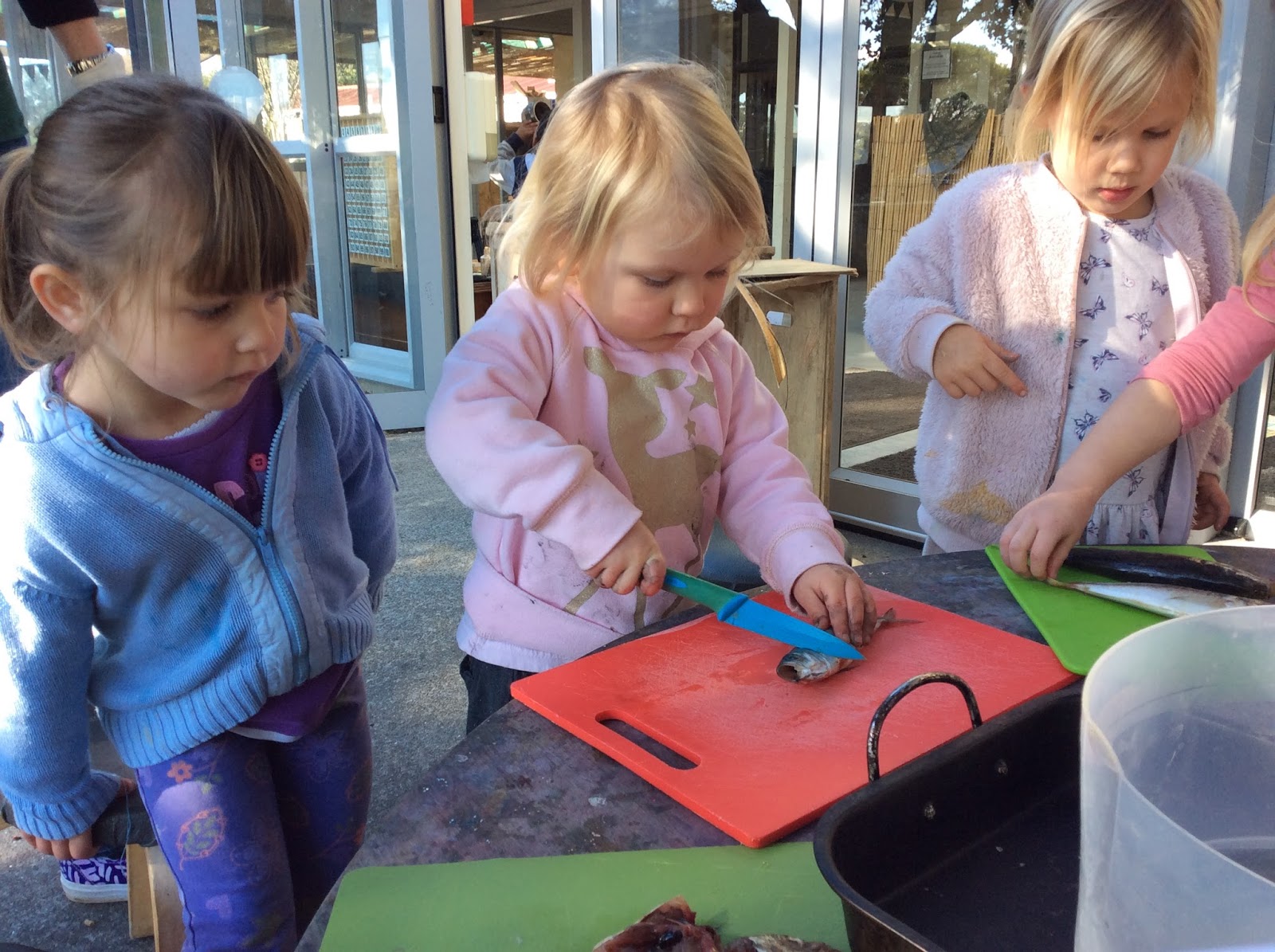 Bream Bay Kindergarten: What is a "Provocation"
