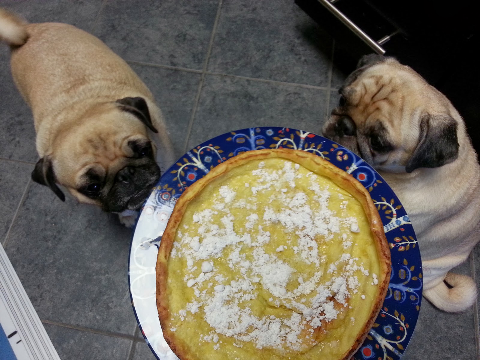 Grubbin' Pugs: Ginormous Pancake aka Dutch Baby Pancake