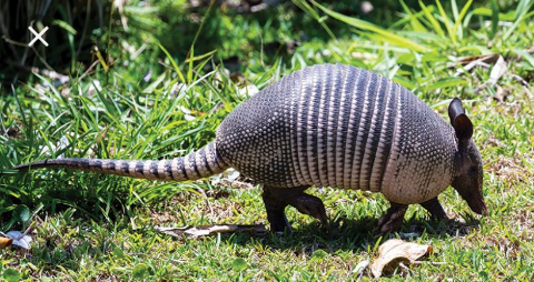 INFORMACION DE CUILCO