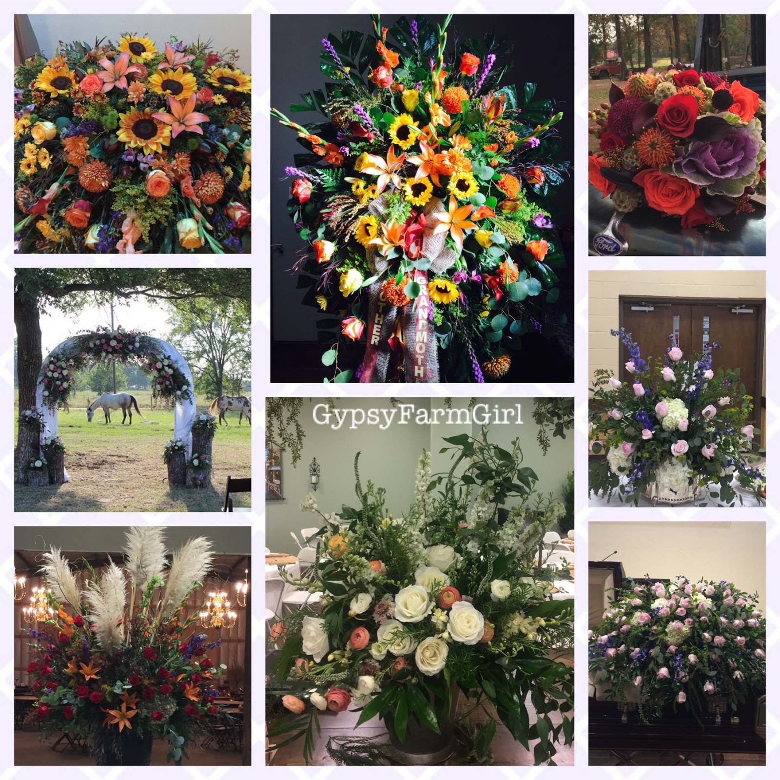 GypsyFarmGirl: So What Do You Do Now?