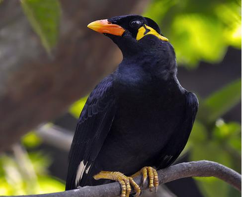 ULTRA MATRIMONY : Chhattisgarh : Honeymoon Destination