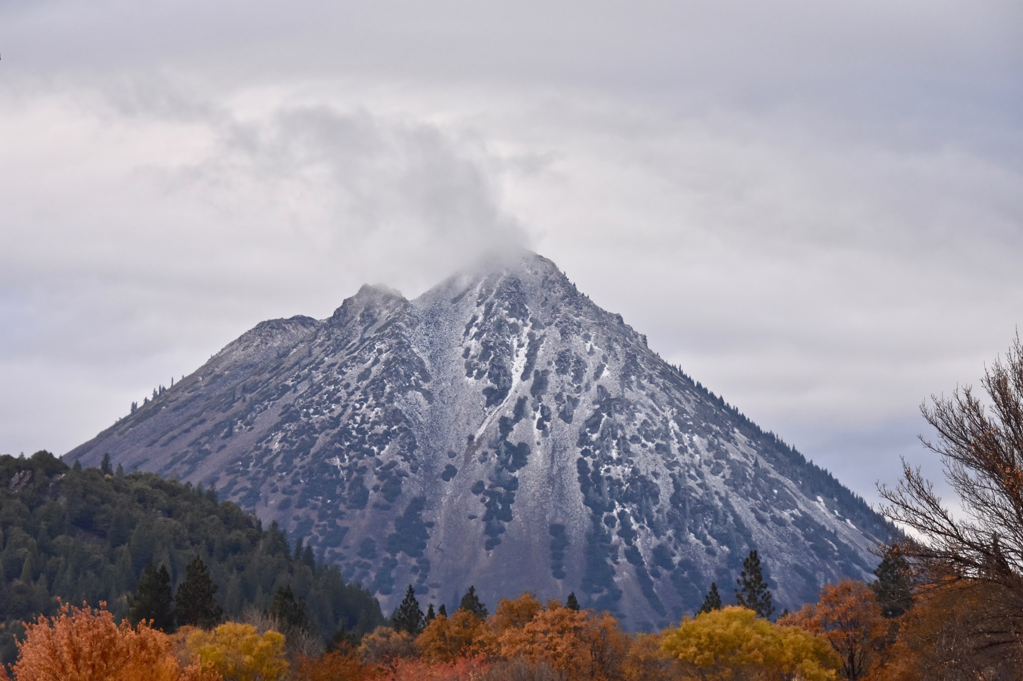 daily timewaster: Road trip to Mount Shasta this afternoon, to see the ...
