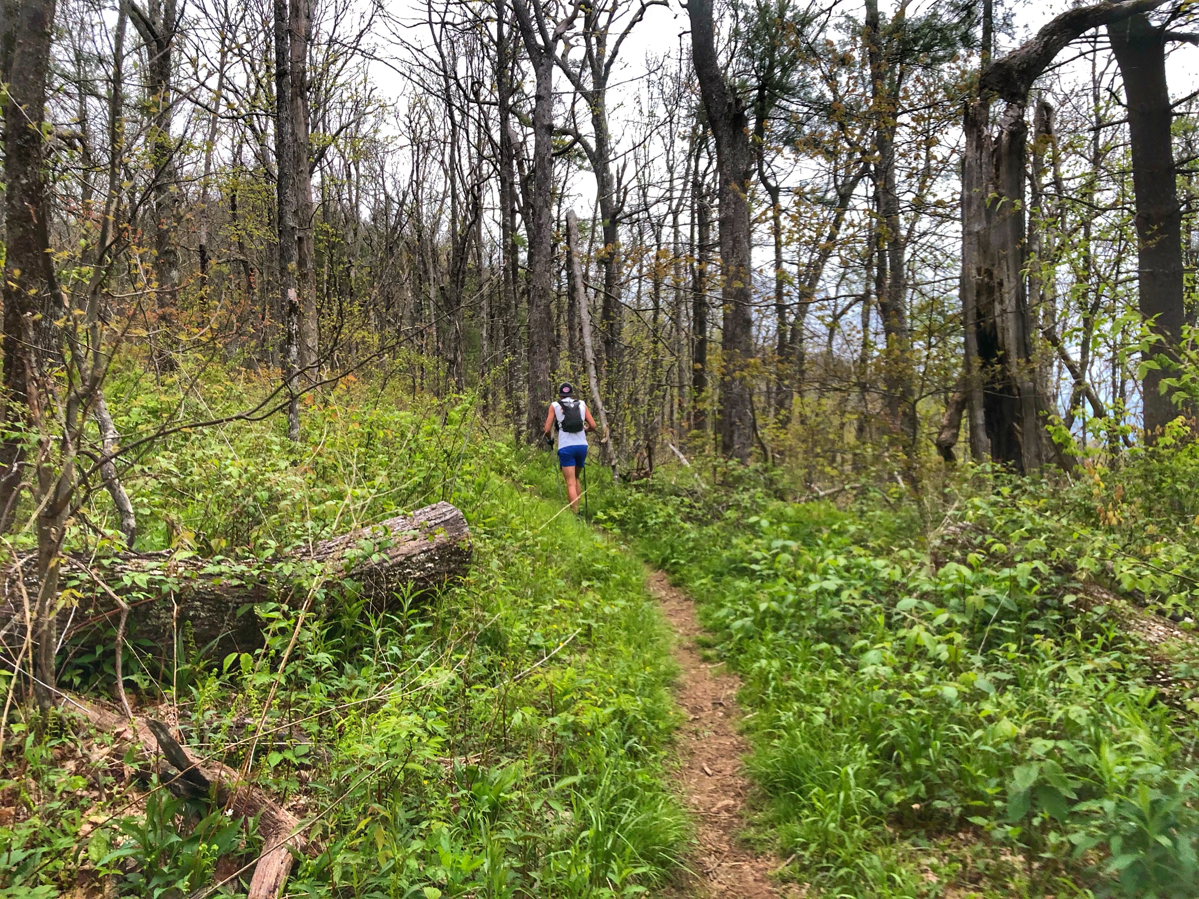 Adventure Report - 2020 Georgia Loop 57M (Self-Supported) ~ Ultra Kraut ...