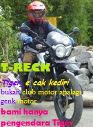T - RECK ( Tiger_e Cah Kediri ): T - RECK ( tiger_ cah kediri )