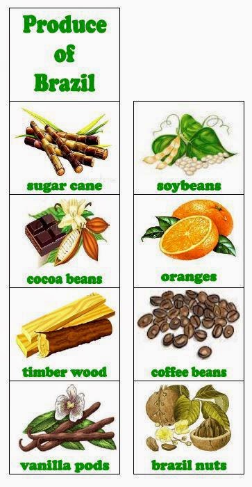 Iman's Home-School: Brazil Lapbook & Unit Study