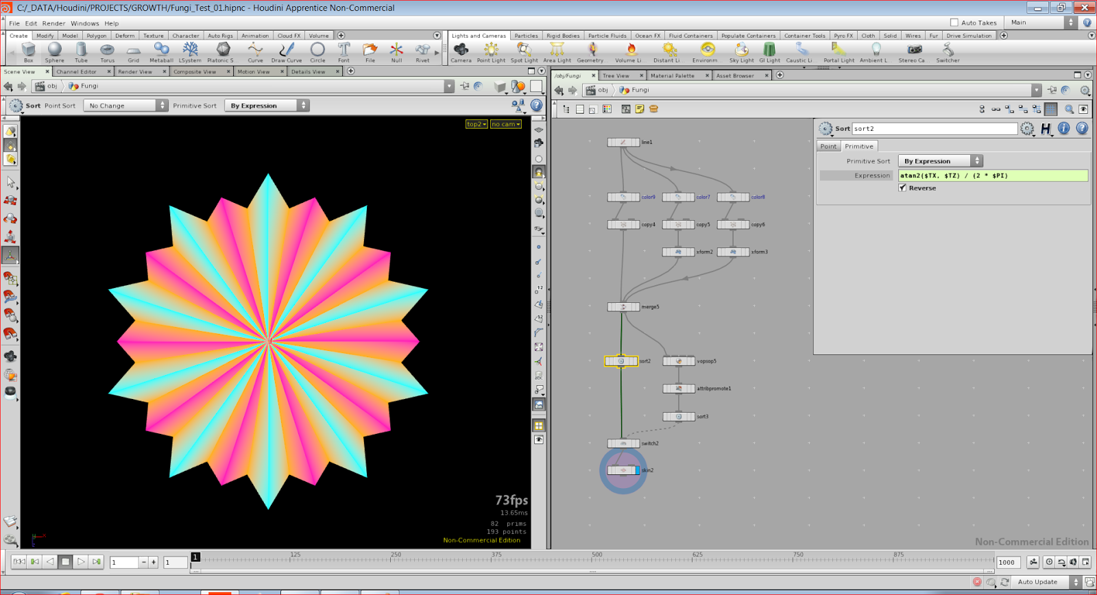 NSDesign - Houdini Projects and Experiments: Mushroom Gills - Radial Sorting