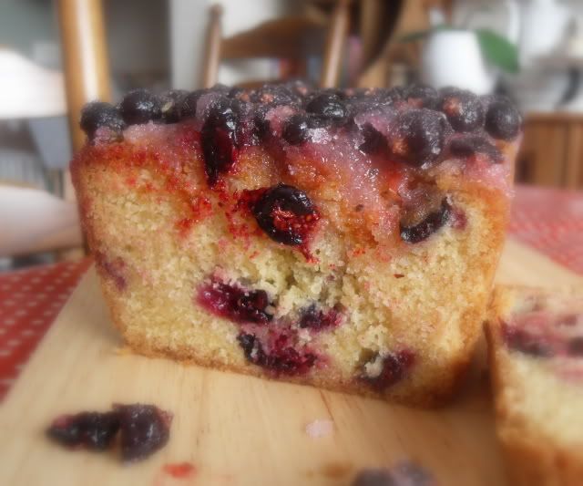 Black Currant Drizzle Cake | The English Kitchen