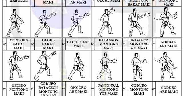 Taekwondo: TÉCNICAS BÁSICAS DEL TAEKWONDO