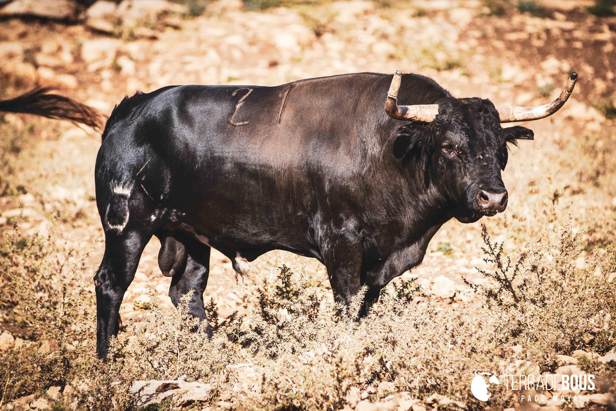 LOS DE LA CARRASCA SIGUEN ESPERANDO SU DESTINO