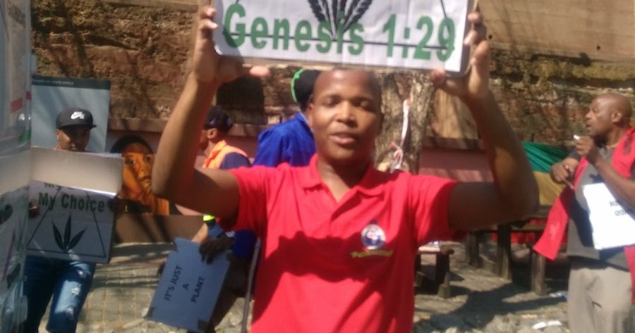 MBANJE SMOKING LEGALISED IN SA newsdzeZimbabweNewsdzeZimbabwe