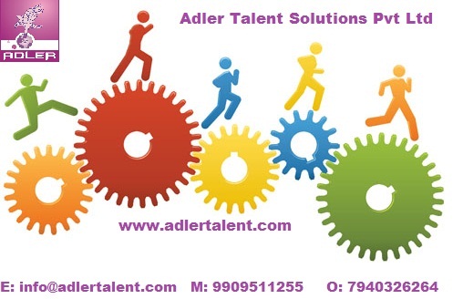 Recruitment Blog - Adler Talent Solutions: The different ways to ...