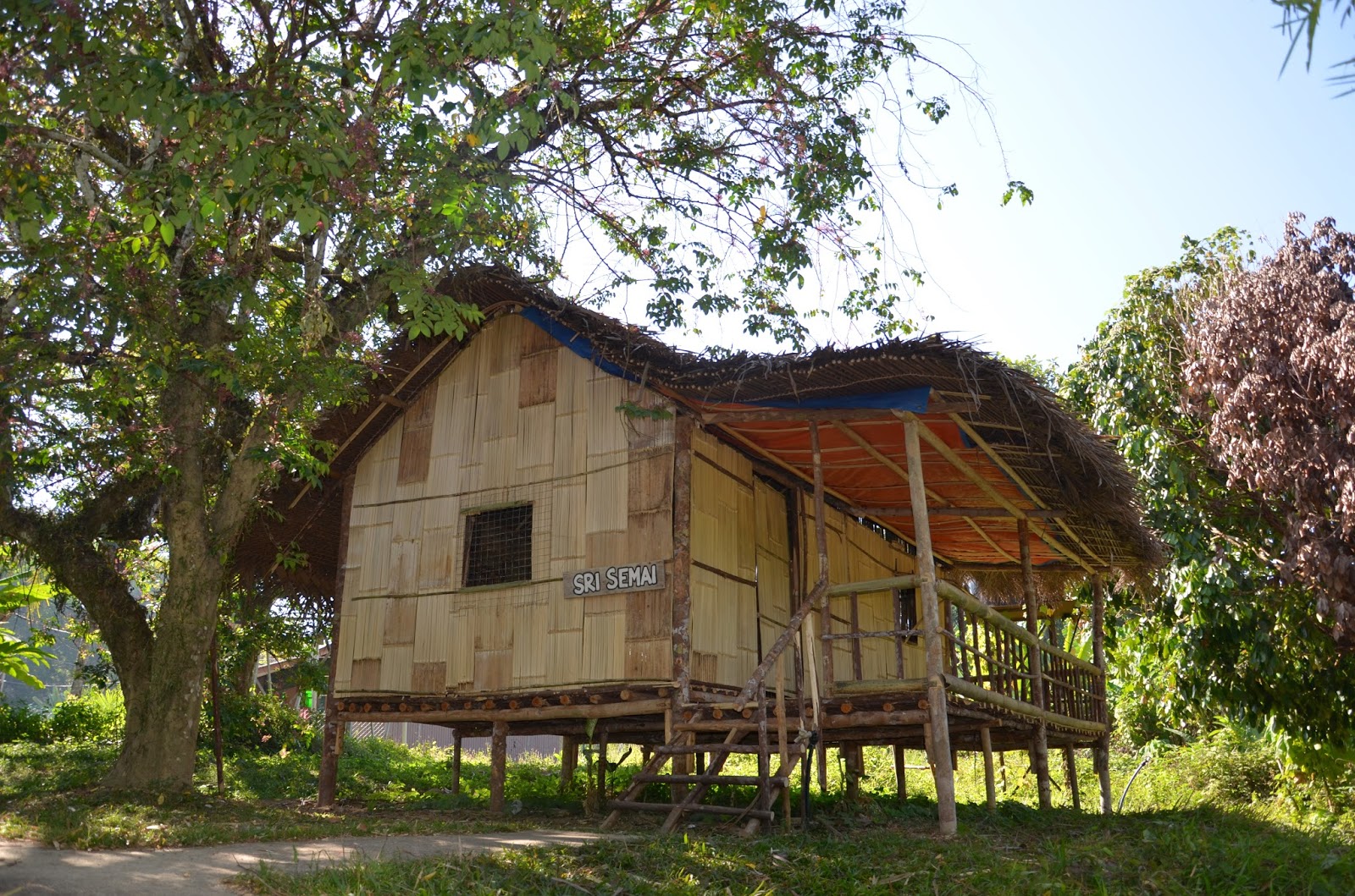 Ecolife Basecamp: Semai house: A study of Semai architecture