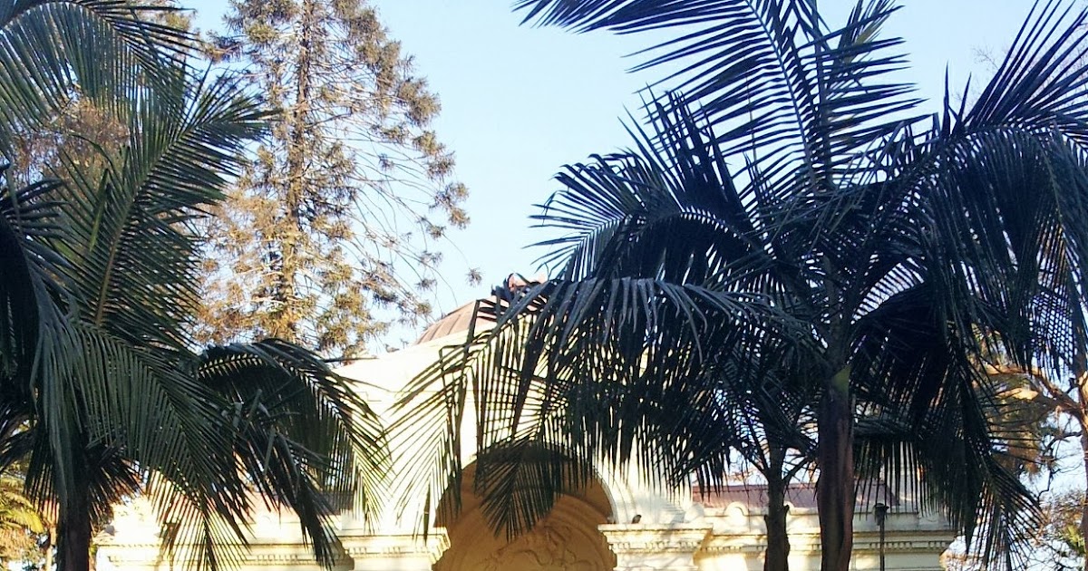 The Garden of Dreams