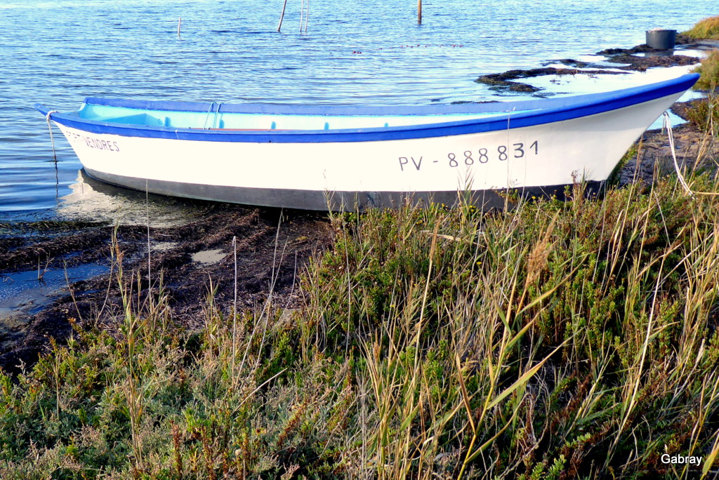OMBRE & SOLEIL: Barques de l’étang du Barcarès