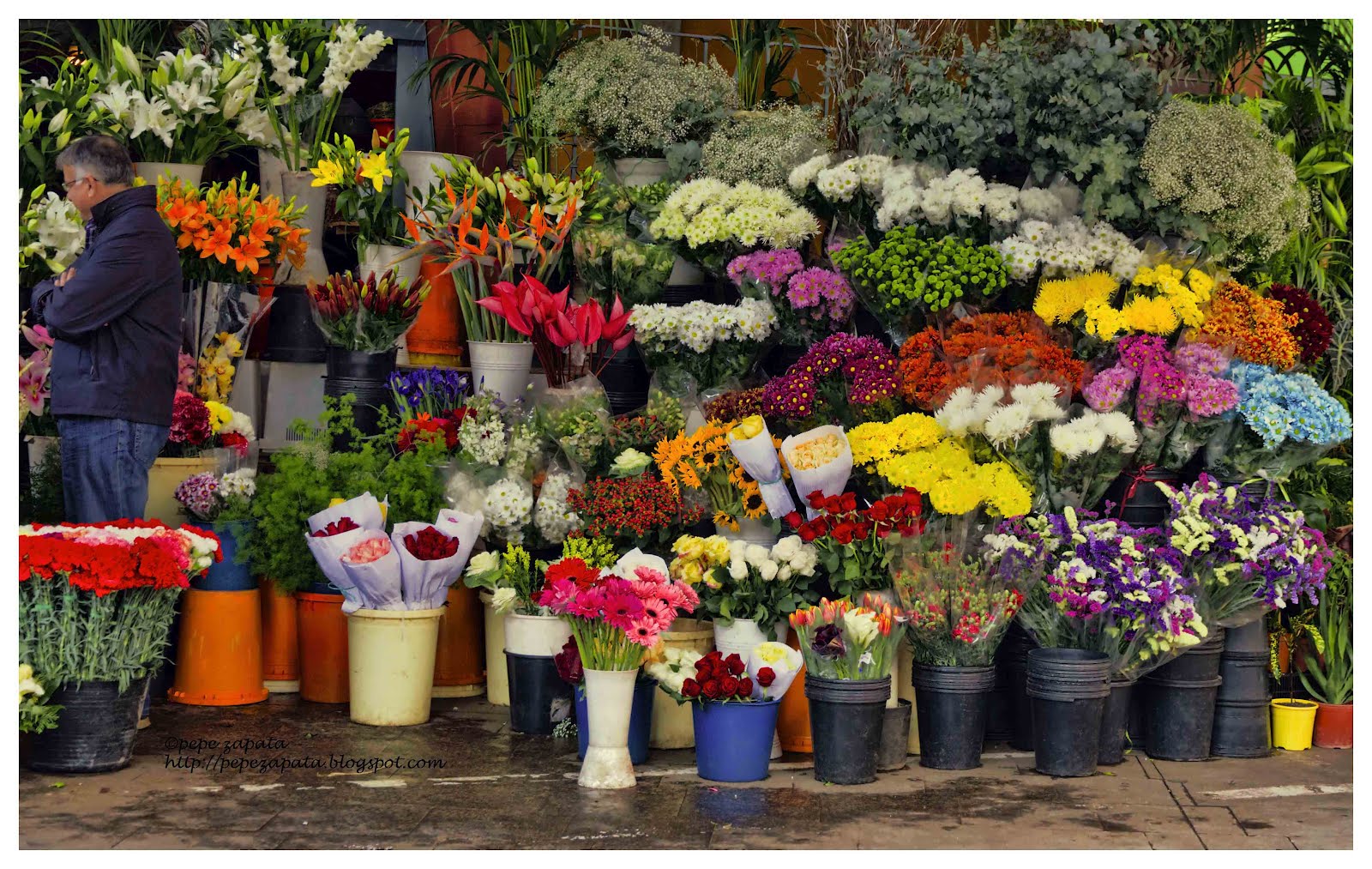 Blog flores - Imagui