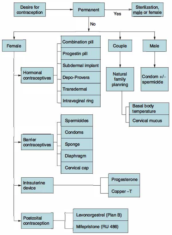 Family Planning-Contraceptives Case File