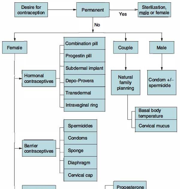 Family Planning-Contraceptives Case File