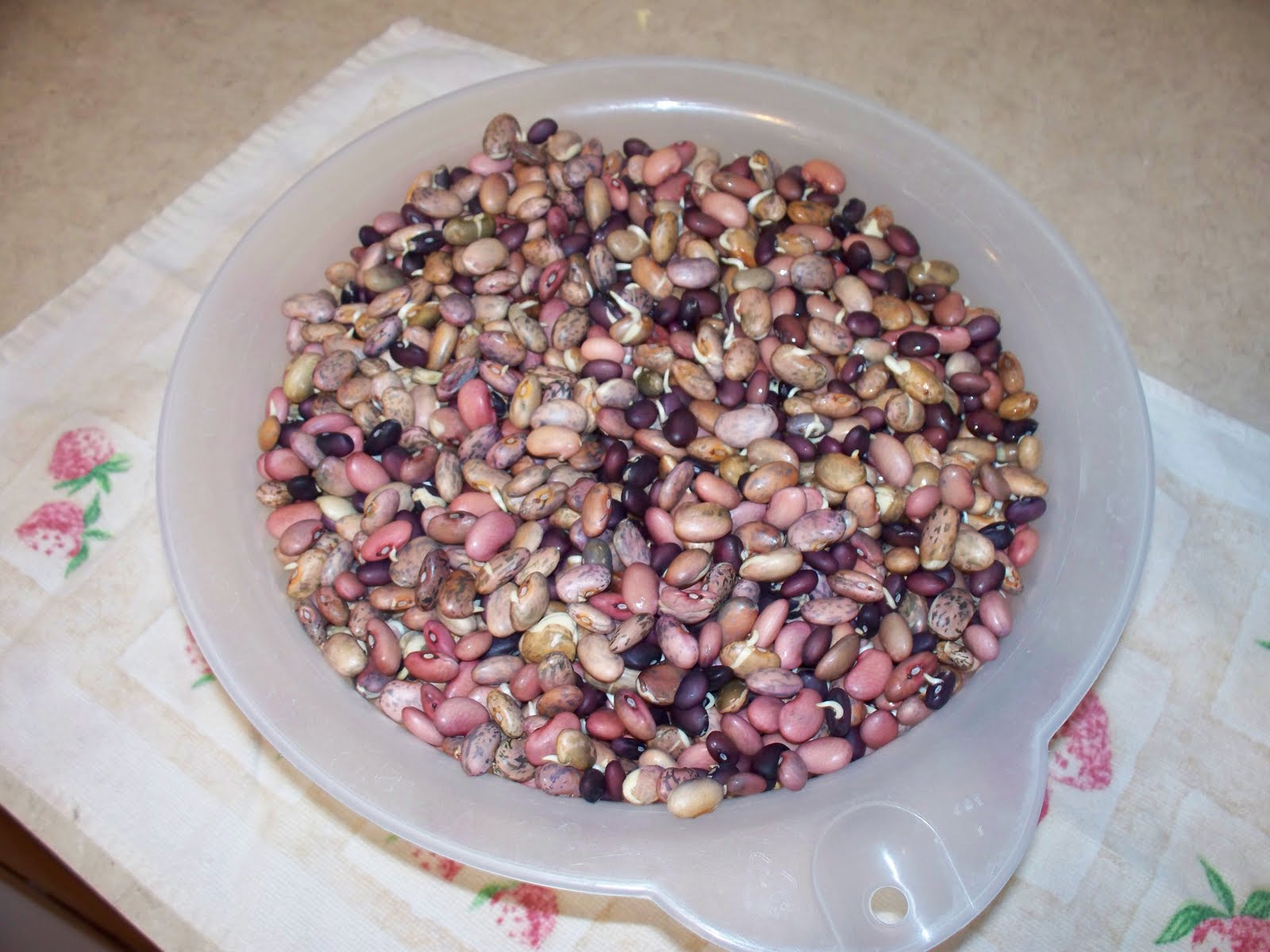 Camille's Casa: Making Beans Your Family Will Eat