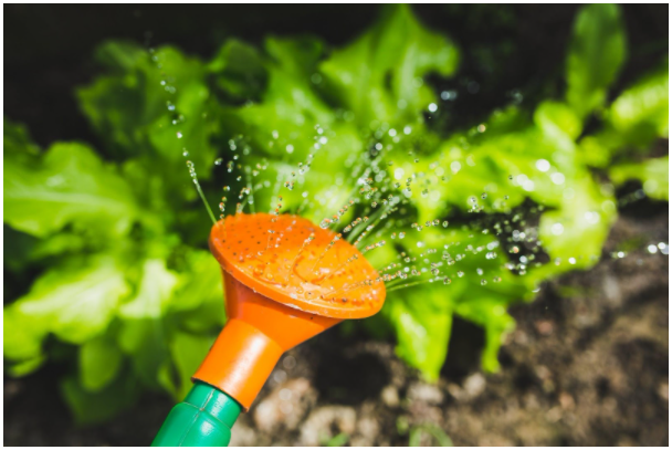 Kitchen and Residential Design: Tools and Irrigation Supplies You ...