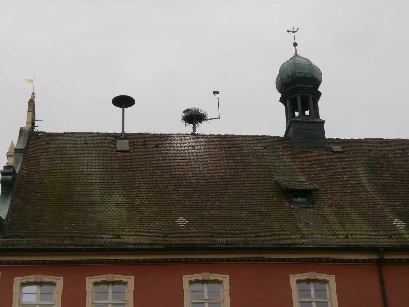 Der Schwarzwald und seine Natur: Das Rathaus in Ettenheim