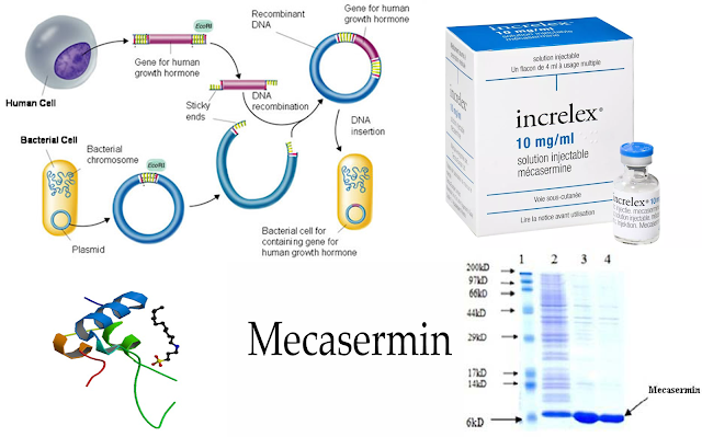 Sarango Cuenca Paulo David P6: Tratamiento del Síndrome de Laron.