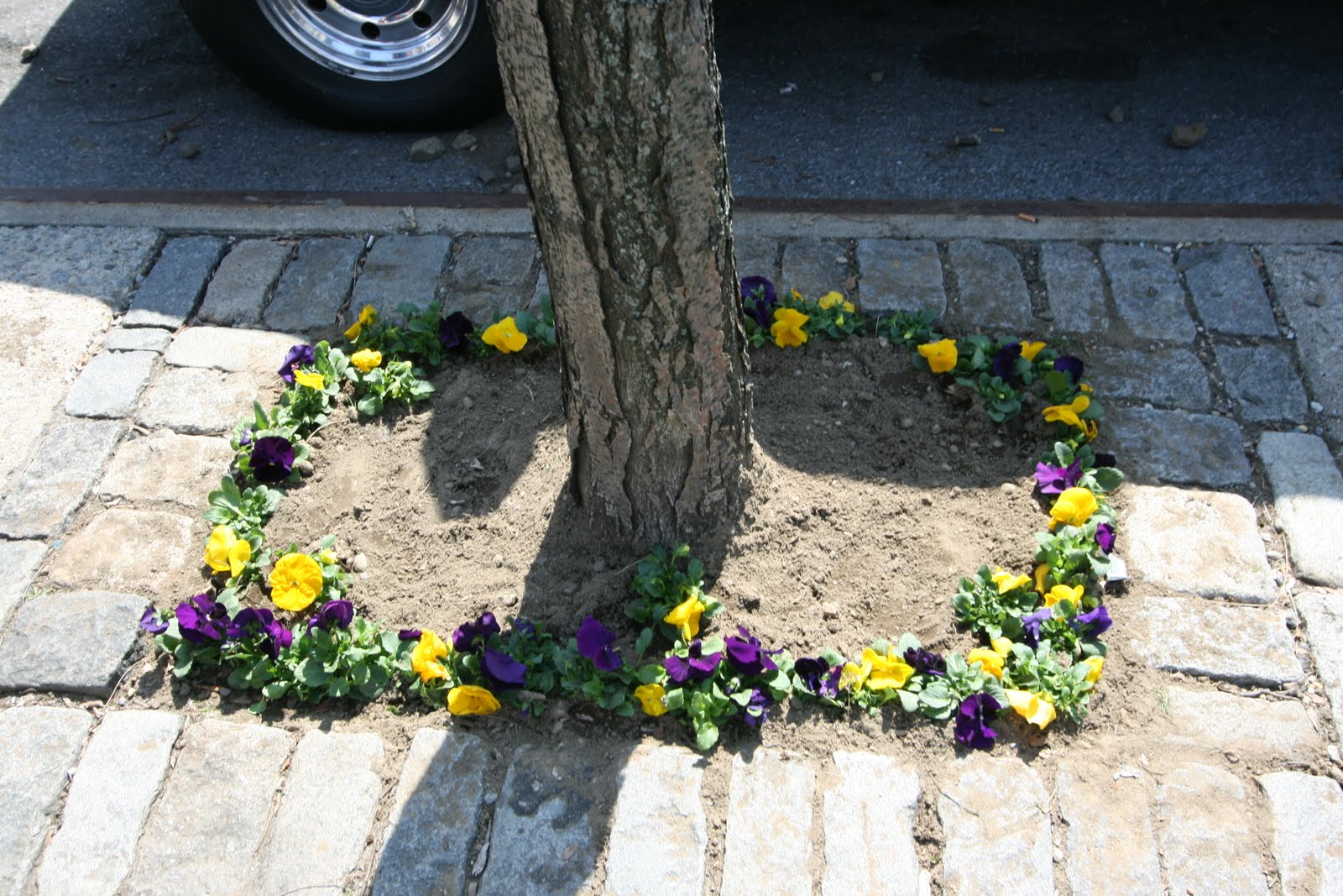 Rego-Forest Preservation Council: One Thing That's Green For The ...