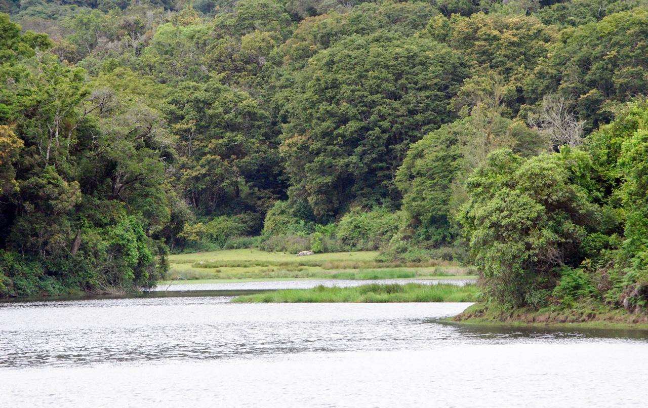 Tamilnadu Tourism: Kukkal Falls, Kodaikanal
