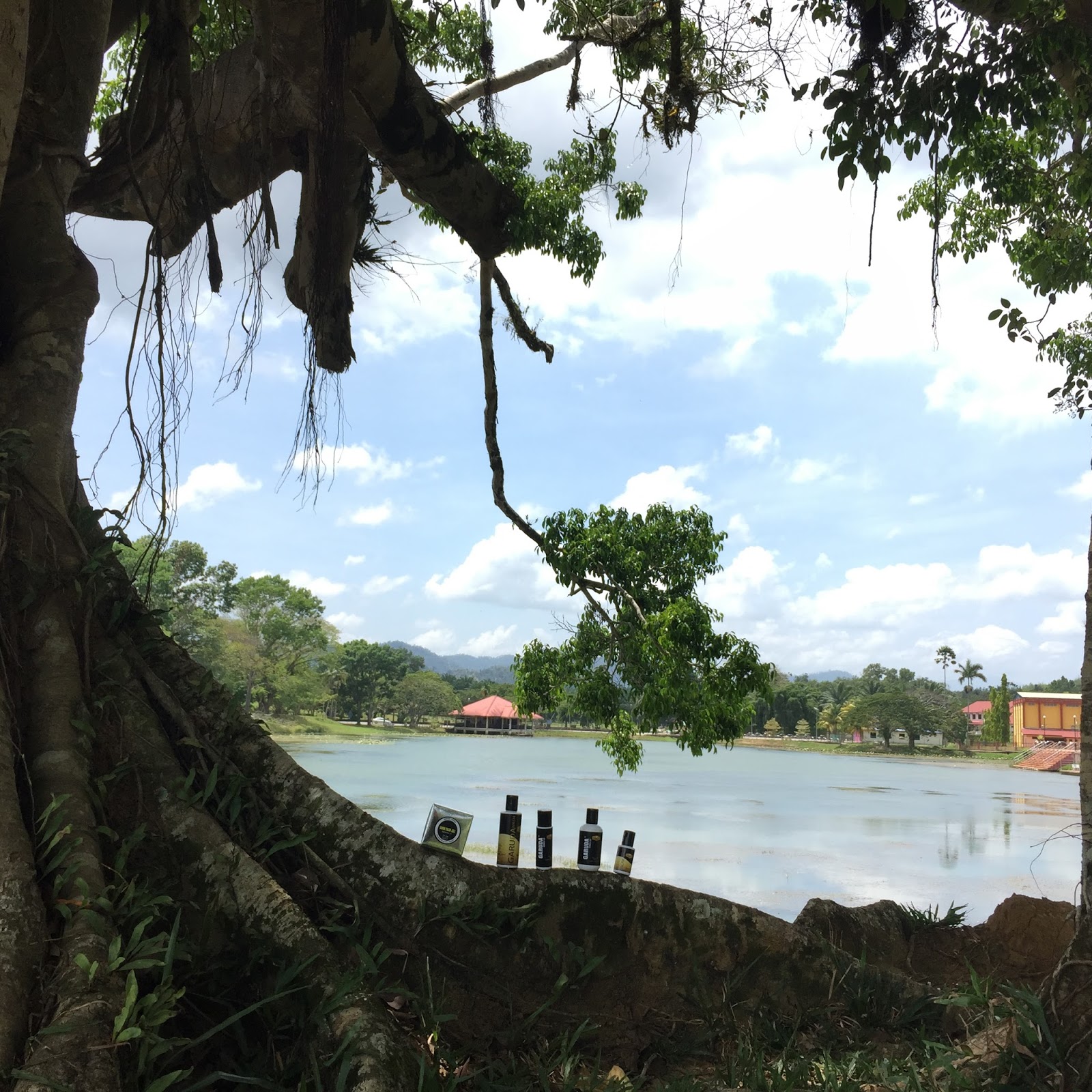 Sabun Pacak Asli : Sabun Berasaskan Serai Wangi Yang Mempunyai Seribu ...
