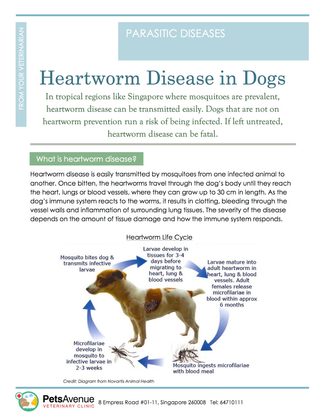 Woof Pack Educational League : HW - The Wormy Truth About Heartworm