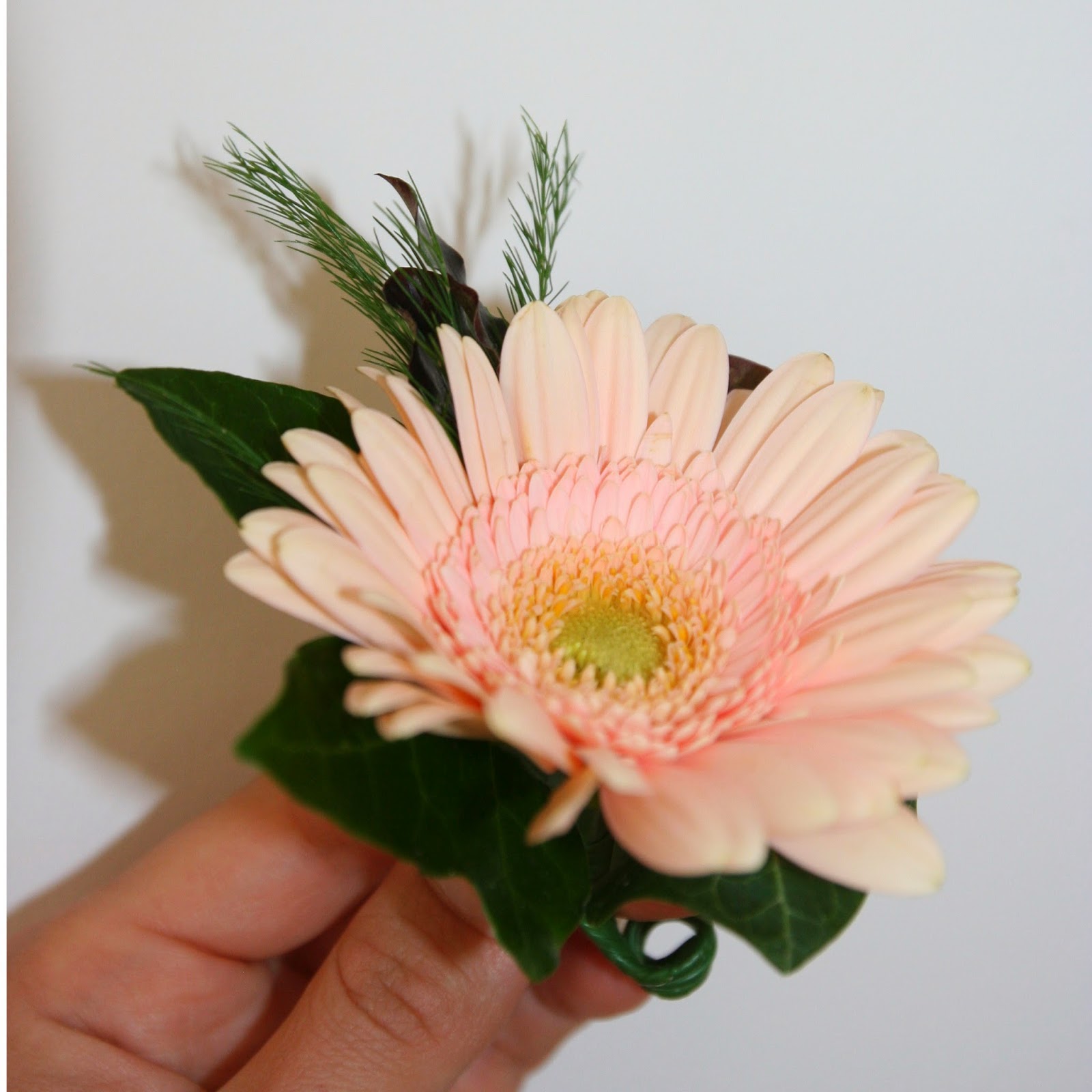 Heather Hartley: Pale pink Germini buttonhole and wrist corsage
