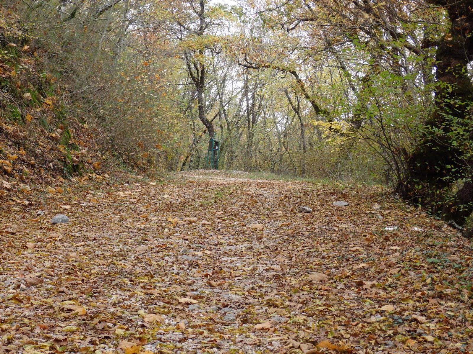 Μένουμε ... Δελβινάκι : Φανταστικό το φθινοπωρινό - χειμωνιάτικο τοπίο