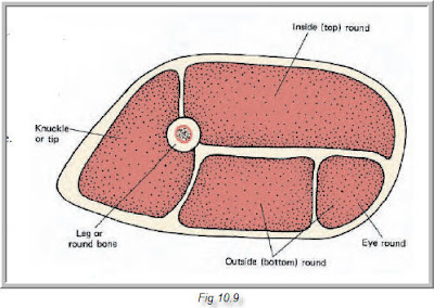 S T R A V A G A N Z A: PROFESSIONAL COOKING AND HANDLING MEATS